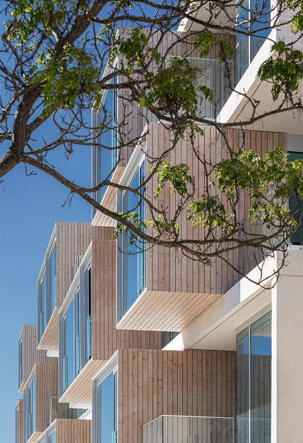 Lunawood - Gras Wood Wide BV Zaandam - Dé houtimporteur van Nederland